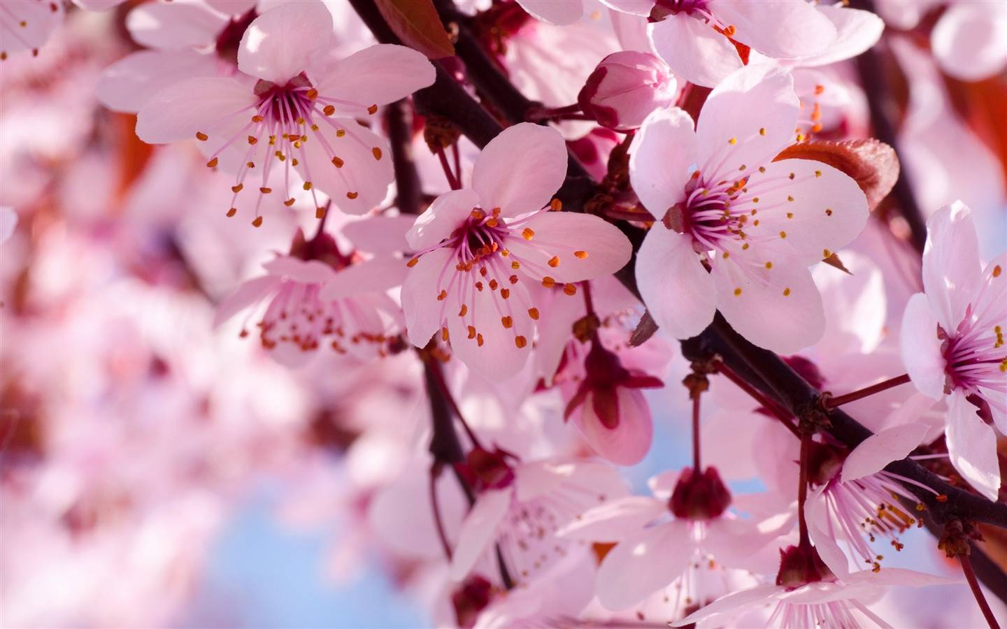 Spring Has Sprung In The South Andrea And Brian Johanson Andrea
